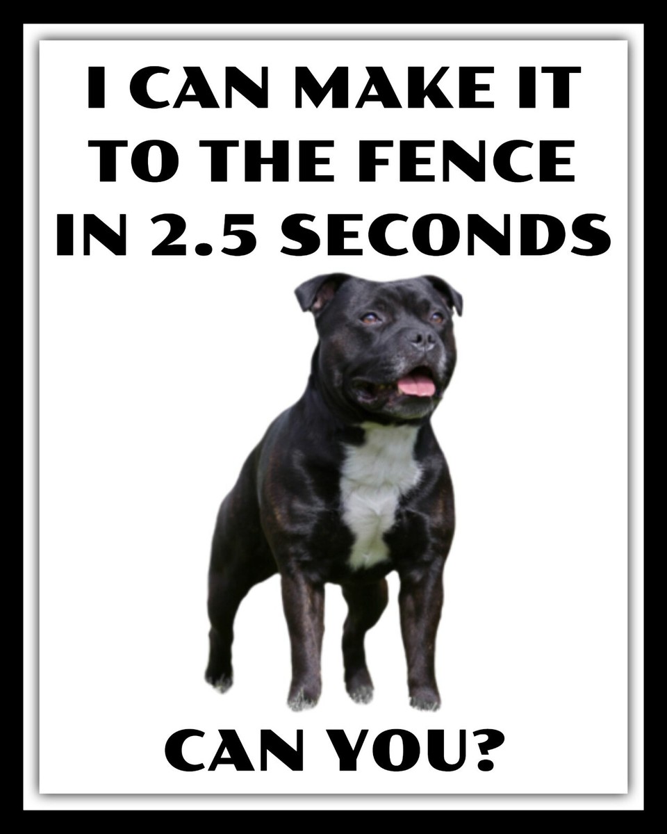 Black Metal Dog Meme