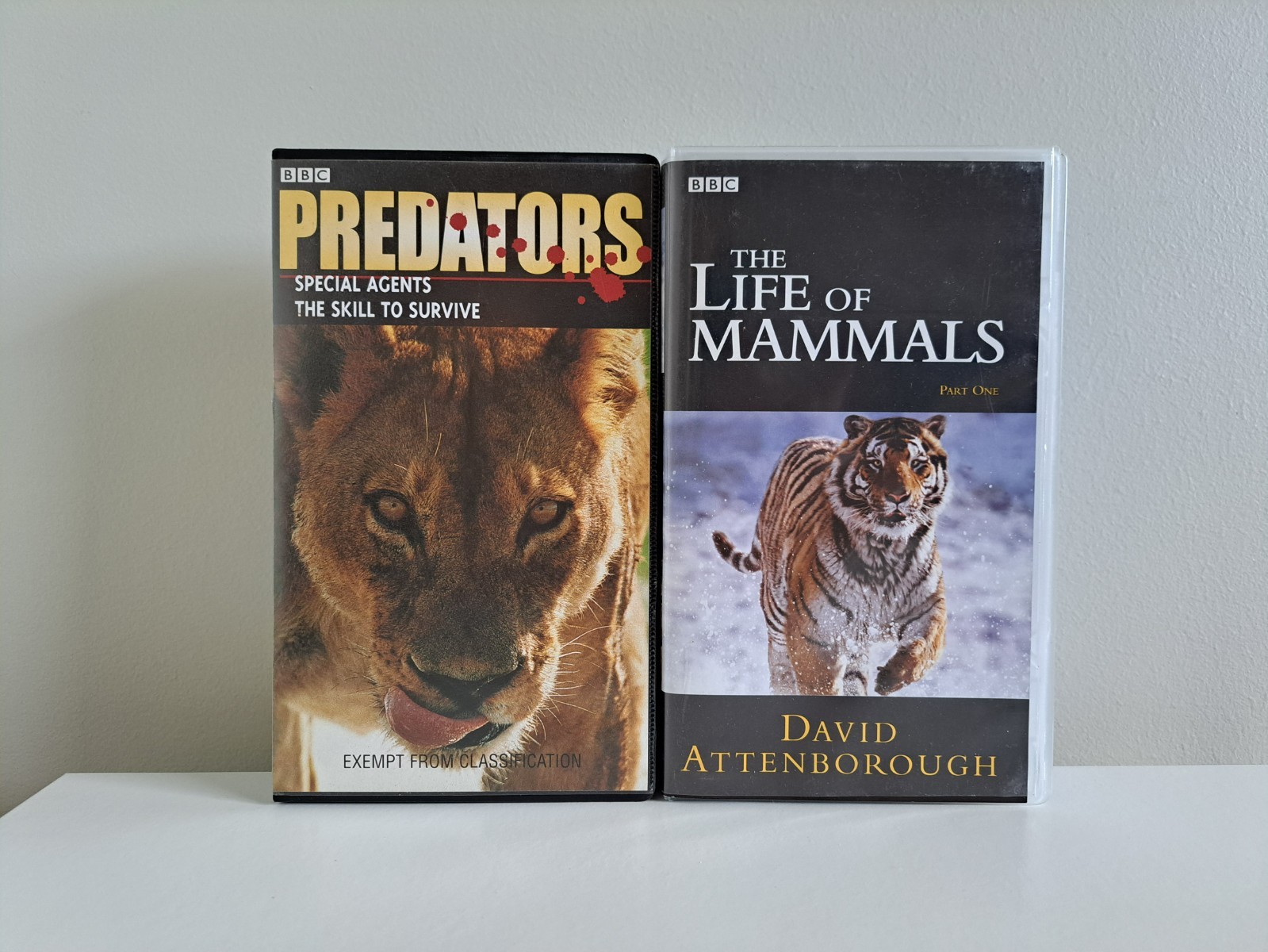 BBC The Life of Mammals Part One (Eps 1-5) & Predators VHS Video Tapes ...