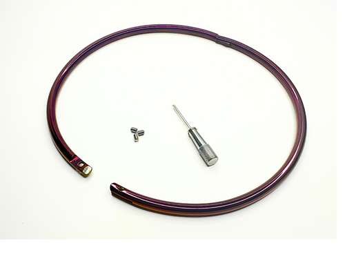 Purple Collar 19" 6MM BDSM Thin Polished Eternity Collar Locking Slave ...