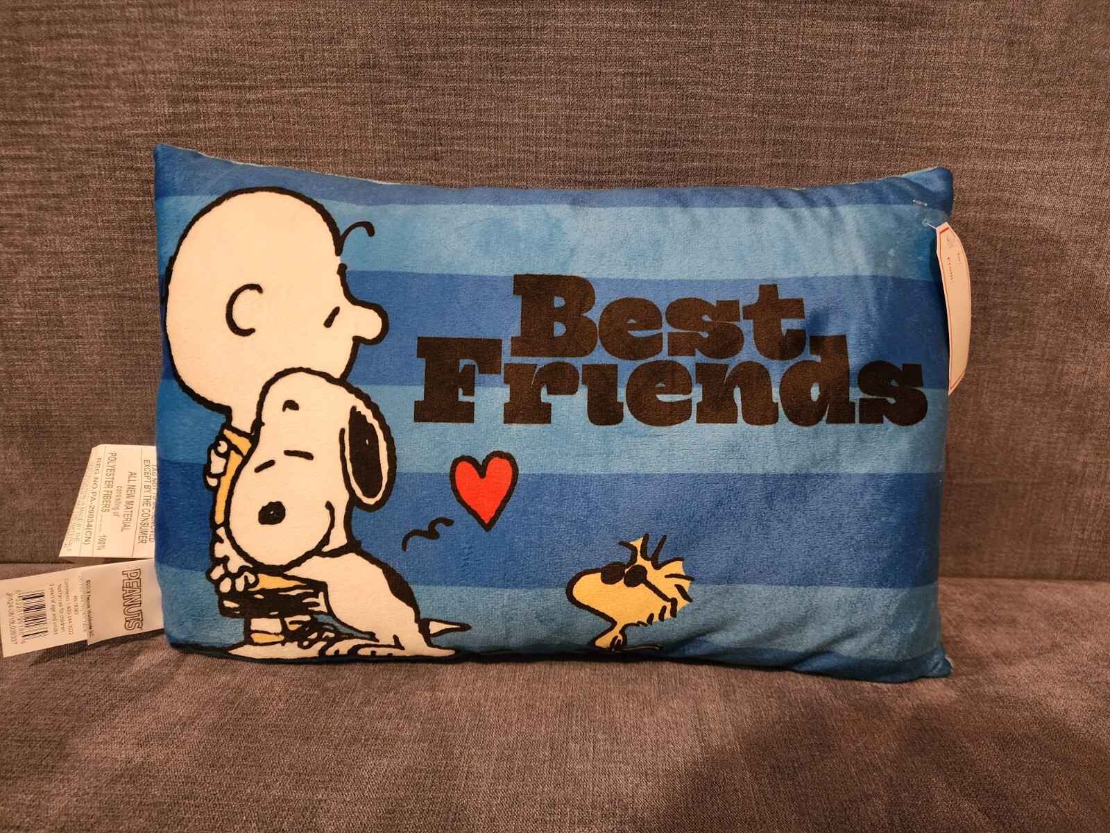 Snoopy And Charlie Brown Best Friends