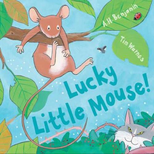 Lucky Little Mouse AH Benjamin and Tim Warnes (Mini Hardbacks) - GOOD ...