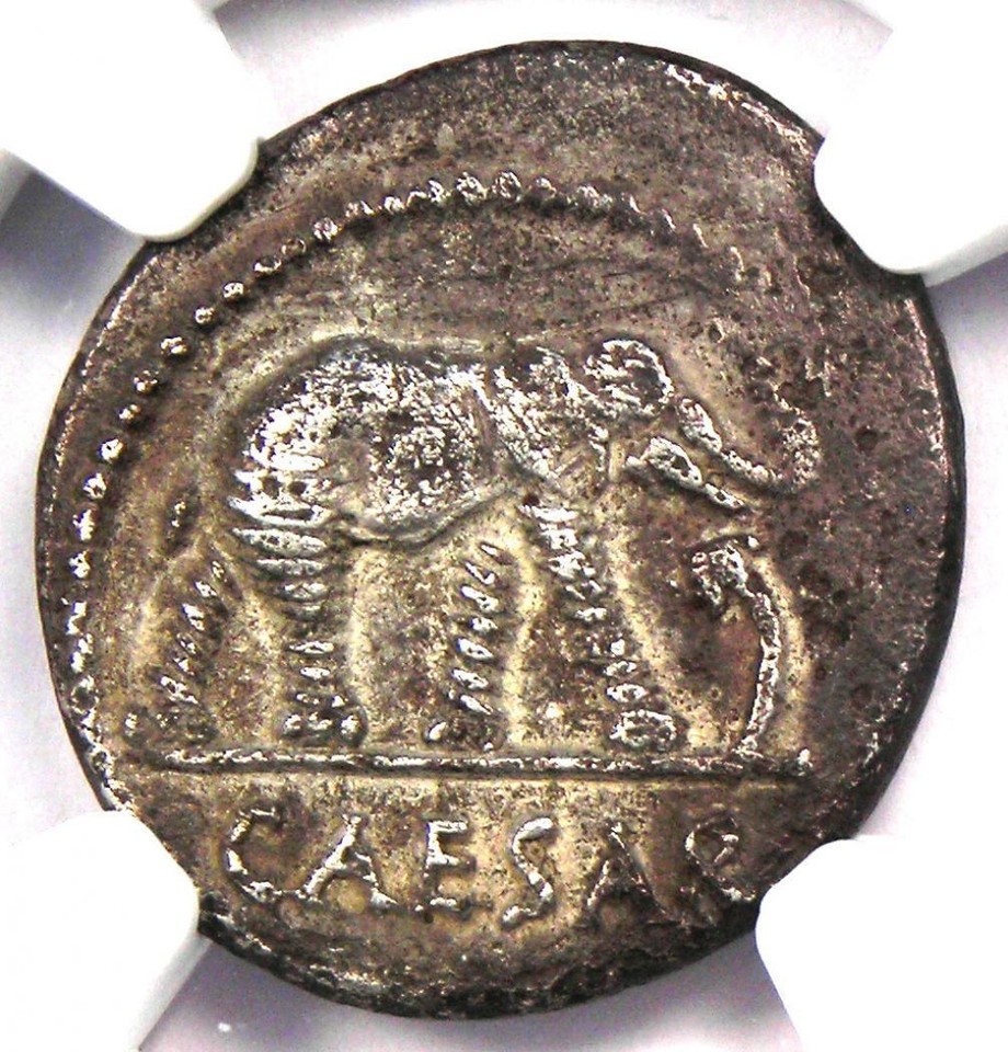 Julius Caesar AR Denarius Silver Elephant Roman Coin 49 BC - Certified ...