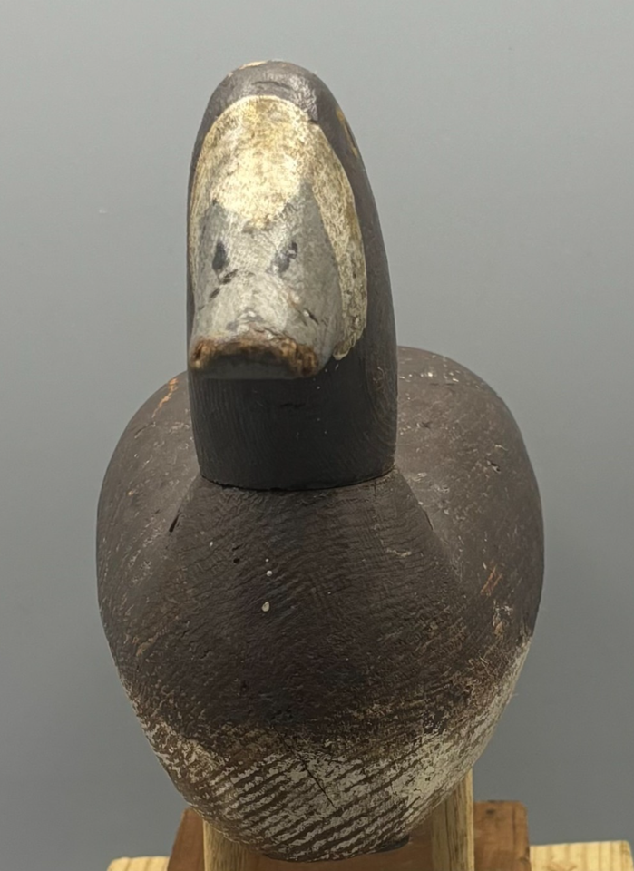 **ORIGINAL PAINT** UNUSUAL BLUEBILL HEN VINTAGE DECOY DUCK (FOUND IN ...