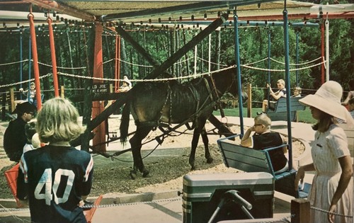 Postcard Six Flags Over Georgia Atlanta Flying Jenny Carousel by Mule ...