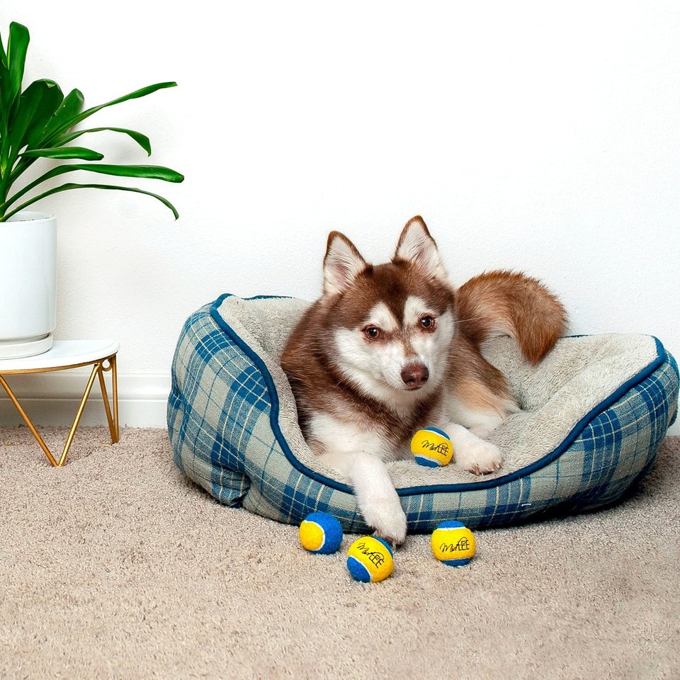 4 Pack Mini Dog Tennis Balls Blue Yellow Small Fetch Toy Play | eBay