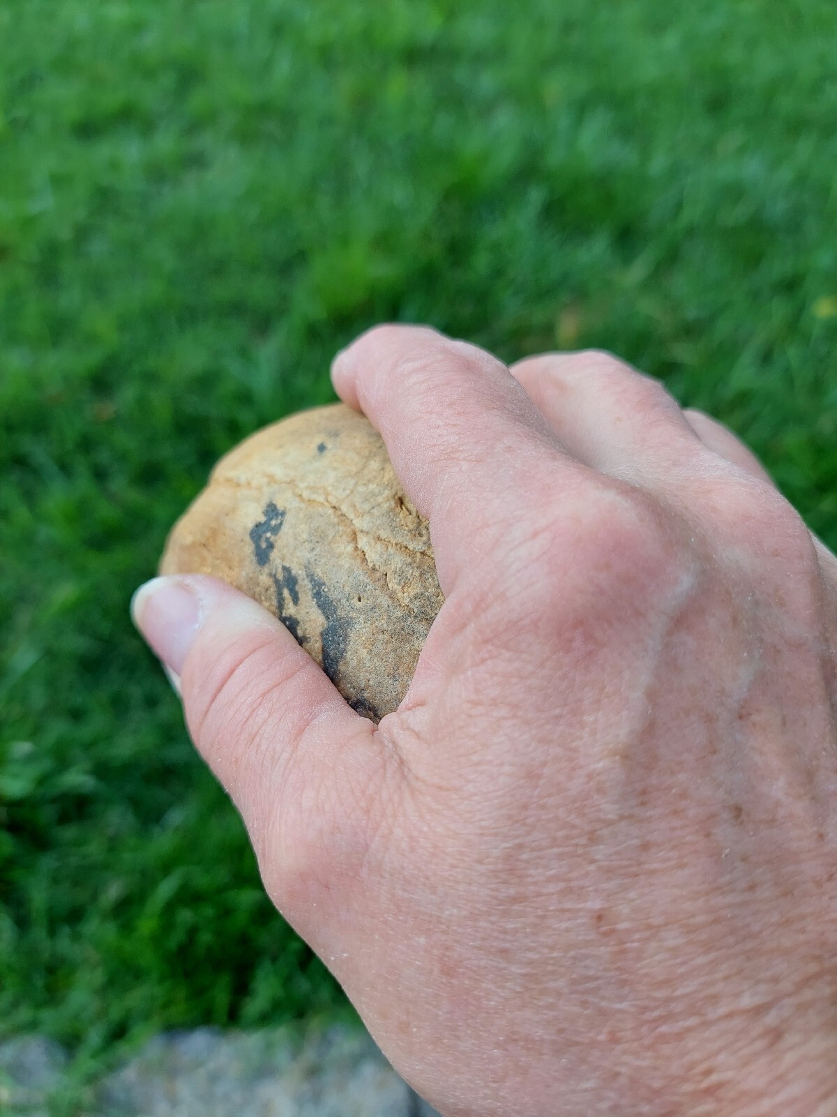 HUGE 570g Ancient Nutting Stone / Multi-Tool Tennessee Native American ...