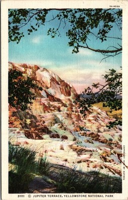 Jupiter Terrace Yellowstone National Park Wyoming Haynes c1937 Postcard ...