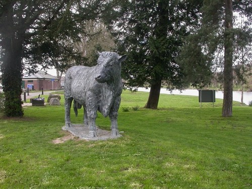 Photo 6x4 Builth Wells, sculpture of bull Builth Wells/Llanfair-Ym ...