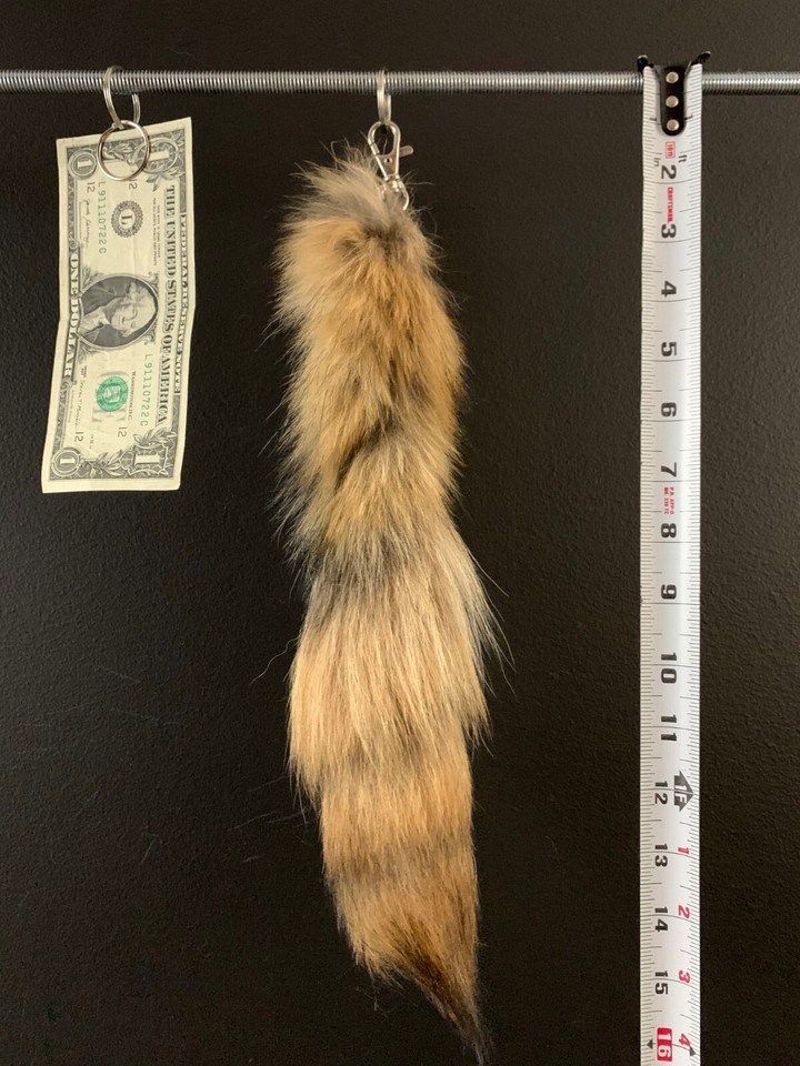 Natural Red Fox Tails Keychain | eBay
