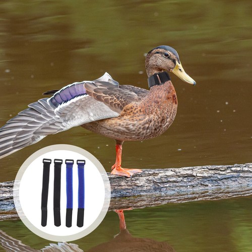 4 Pcs Noise-proof Collar Crow Rooster Collars to Prevent Crowing | eBay