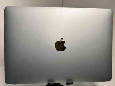 Apple Macbook Pro 13" A1989 A2159 A2289 A2251 LCD Space Gray Screen D ...