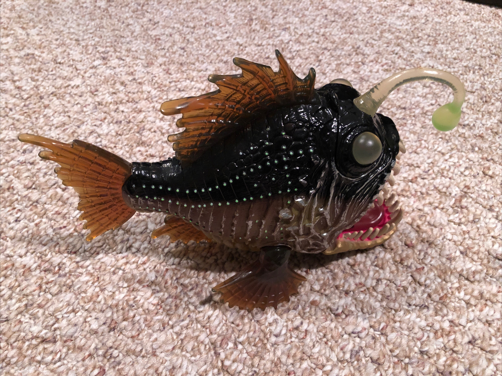 Lantern Fish Nemo