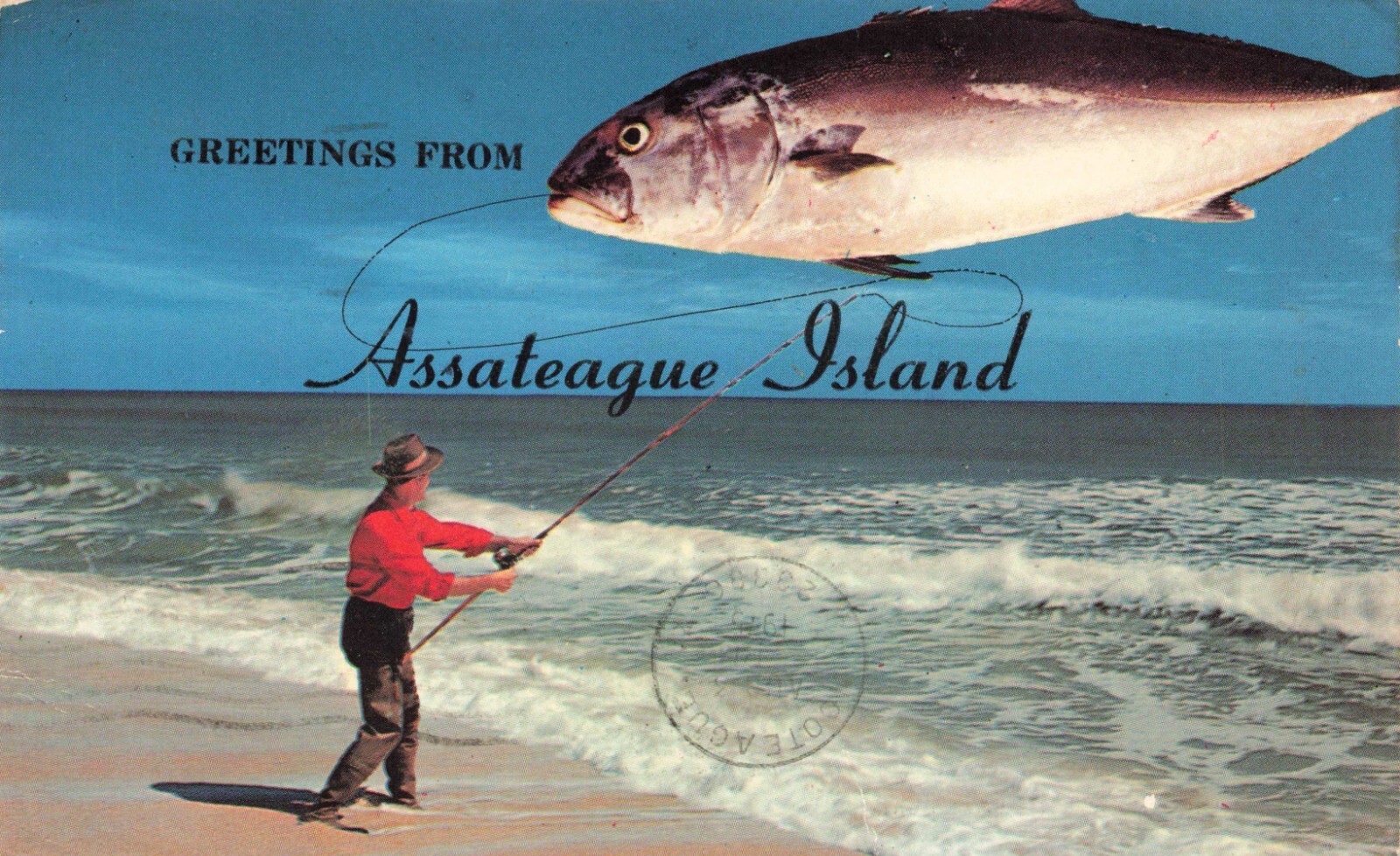 Postcard MD VA Assateague Island Greeting Exaggeration Fish Delmarva ...