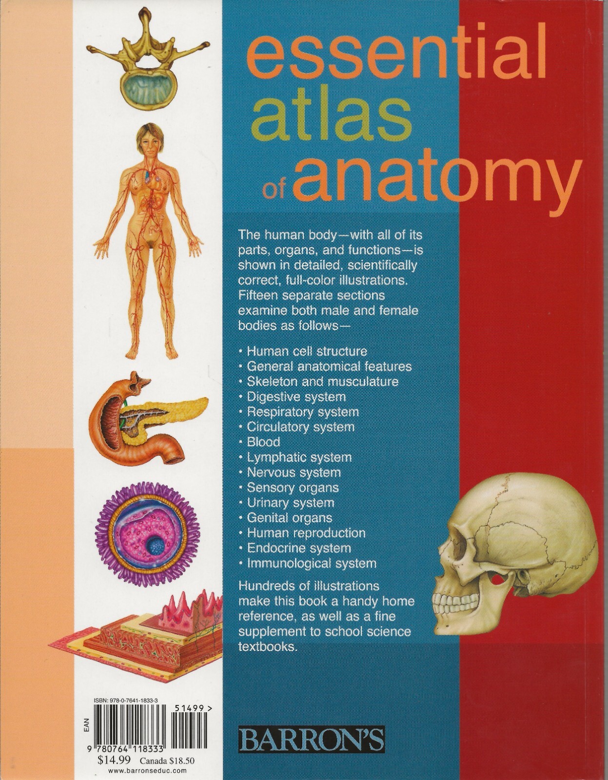 Essential Atlas of Anatomy by Parramon Studios Parramon (2001, Trade Paperback) for sale online ...