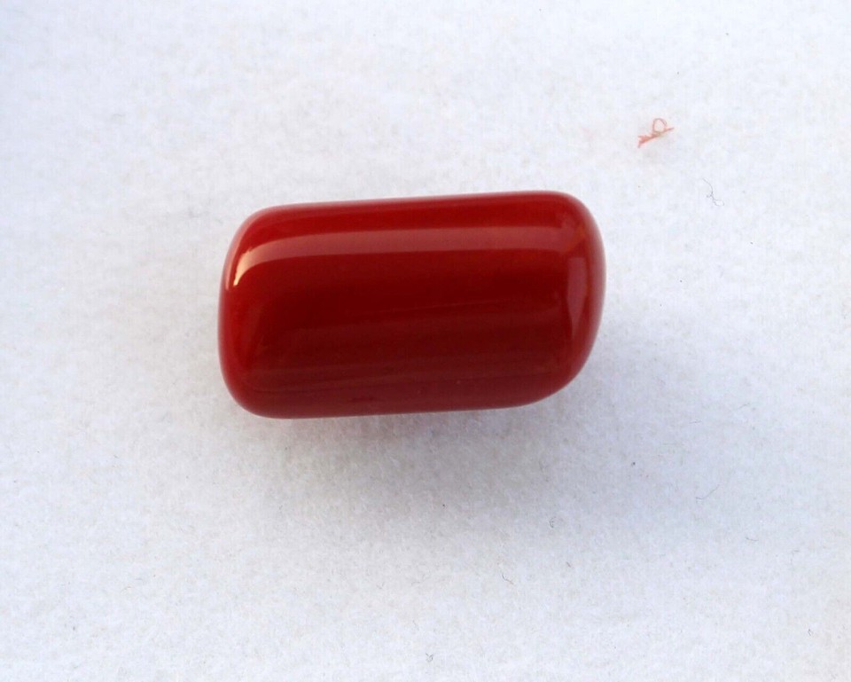 Natural Italian Red Coral ( Moonga ) 16.5 Ct. Capsule Loose Gemstone ...