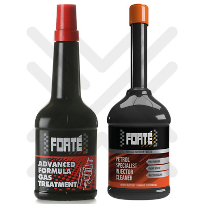 Forte Advanced Petrol Gas Treatment & Petrol Specialist Injector Clean ...