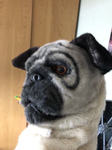 GTA Pug Mask ( Full Fur ) | eBay UK