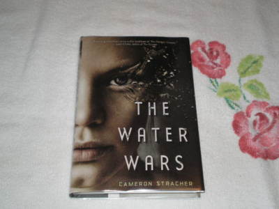 The Water Wars by Cameron Stracher 9781402243691| eBay