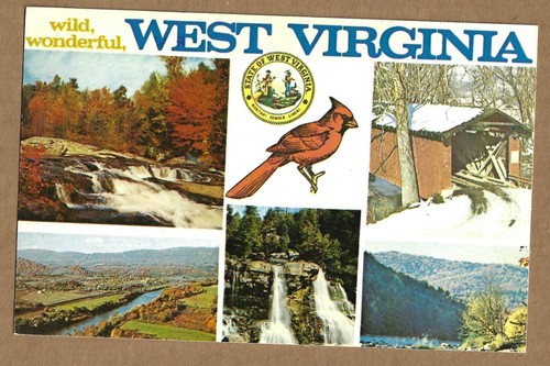 POSTCARD SET OF 3 WILD WONDERFUL WEST VIRGINIA 154774 | eBay