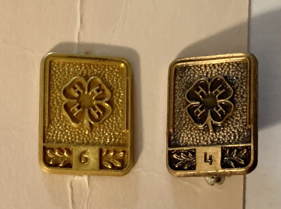 2 Vintage 4-H Pins Gold For Level 6 ~ 1/20-10K GF Gold Filled Bronze ...
