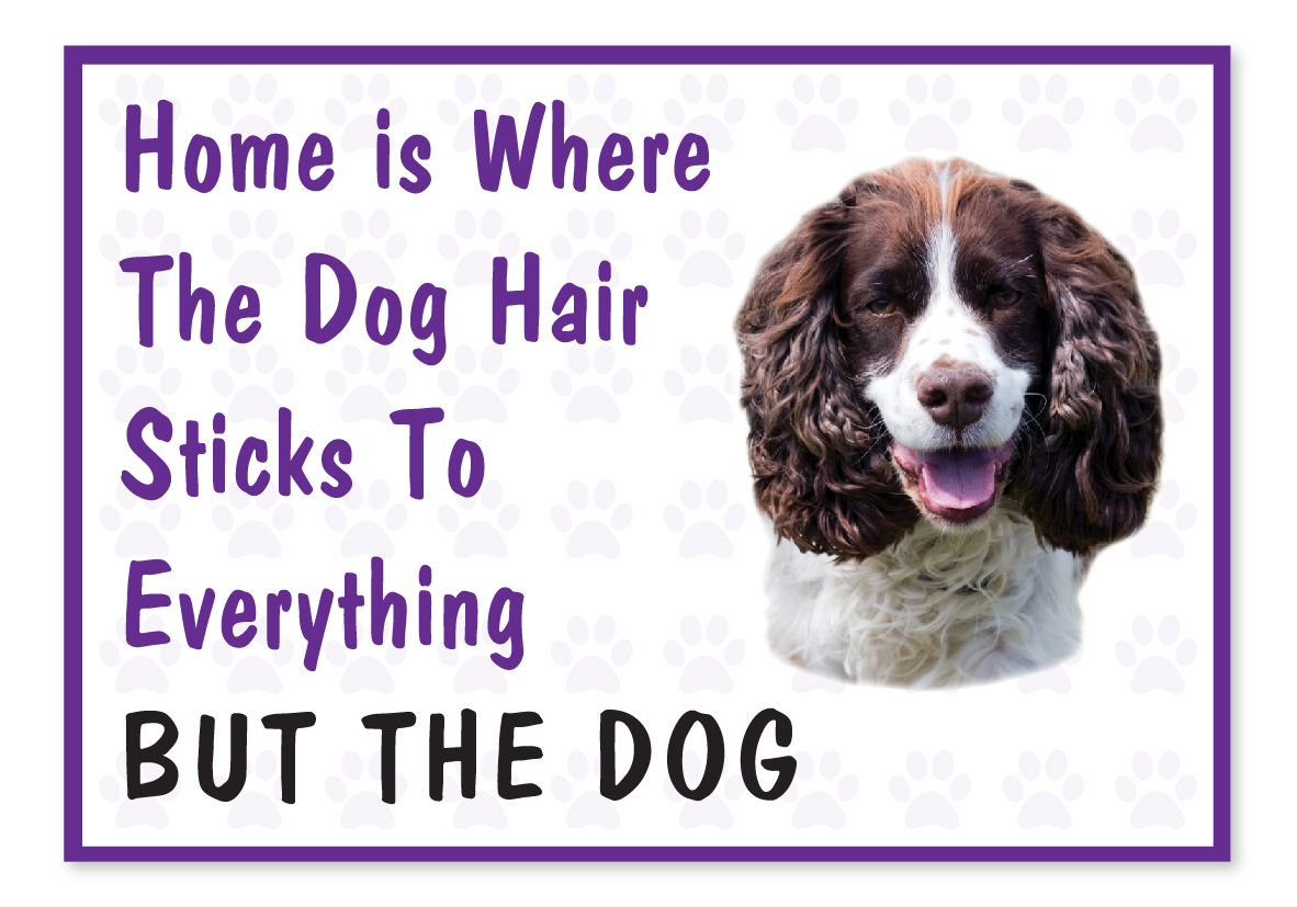 Weird Dog Hair 20 Bad Haired Doggos That Got Their Fur Noggins Messed
