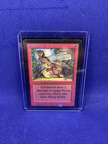 Earthbind - LP - MTG - Magic The Gathering | eBay