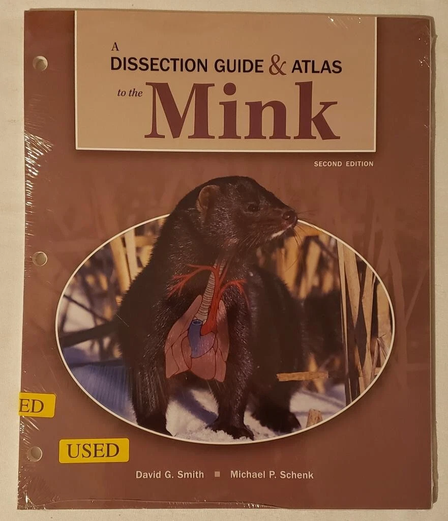 Mink Dissection