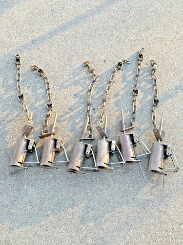 1/2 Dozen Dog Proof Ztraps Coon Traps push/pull trigger | eBay