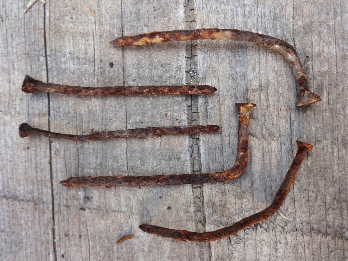 Rusty Metal Nails