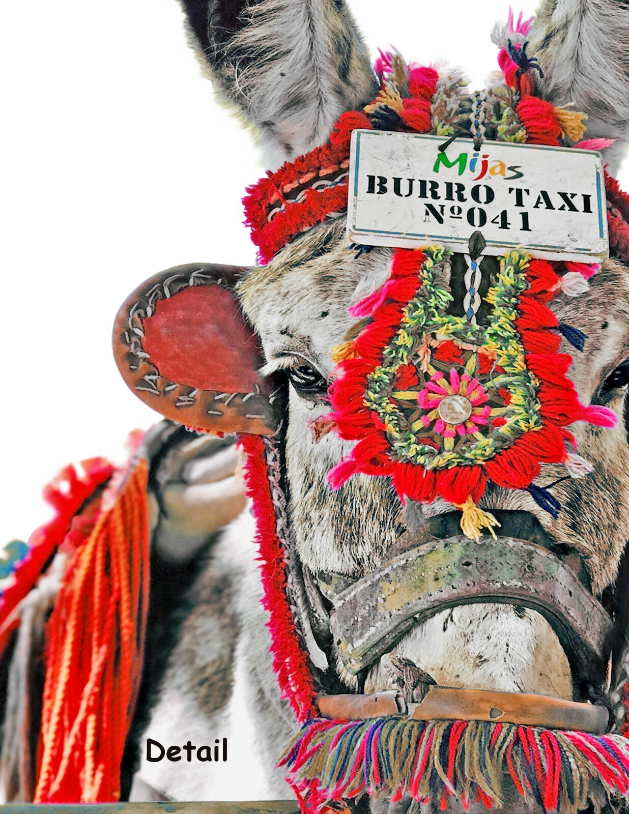 Colorful Donkey Taxi Wall Art, Cute Mexican Burro Poster, Country Print ...
