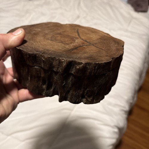 Large Vintage Tree Stump Branch Lidded Trinket Jewelry Box 8x6x3 | eBay