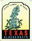 Bluebonnet Stickers | eBay