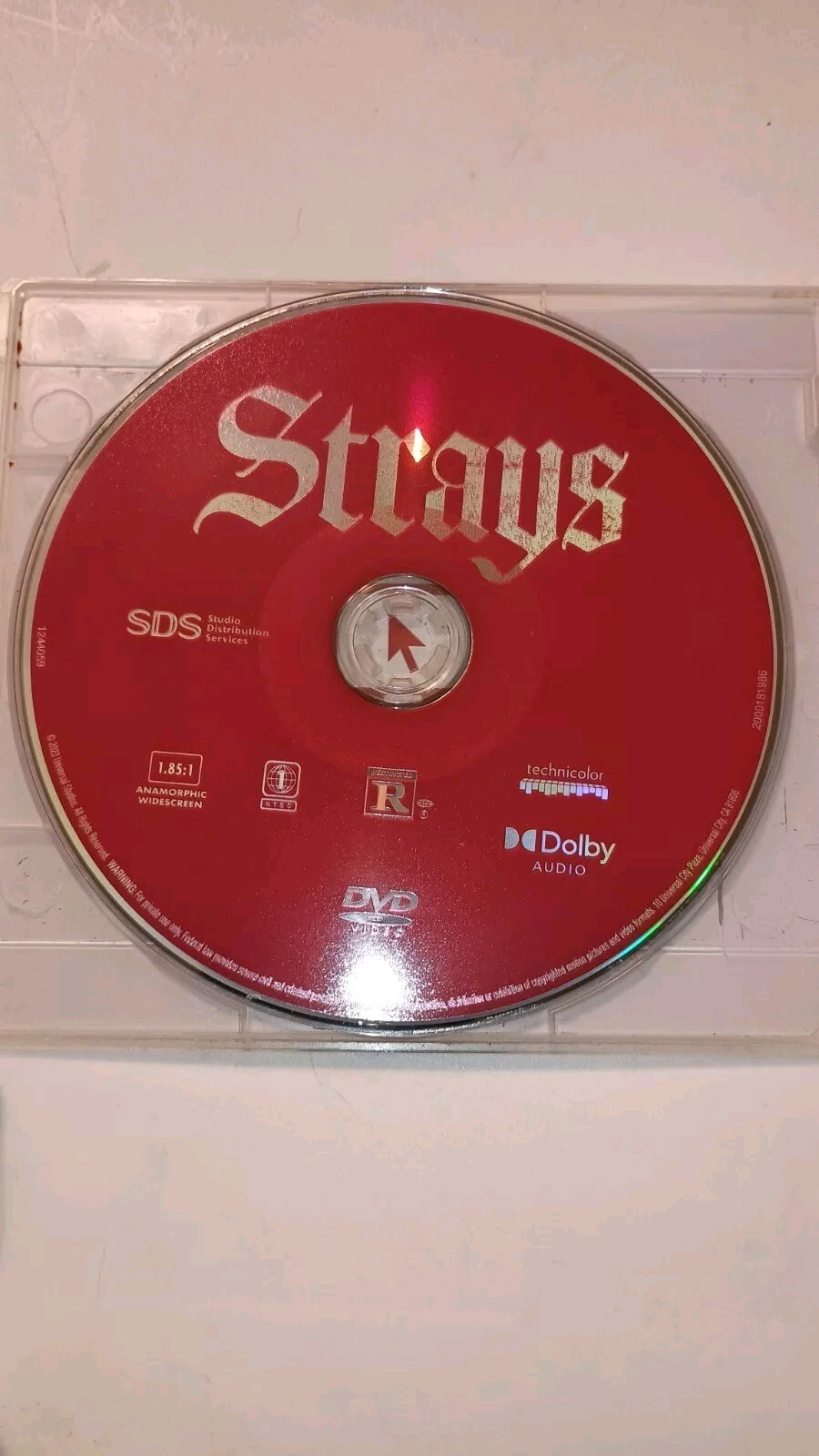 Strays (DVD, 2023) 191329249529| eBay