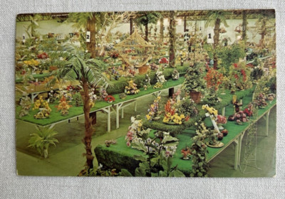Vintage 1960's Post Card - Patchogue NY, Patchogue Floral's Fantasyland ...