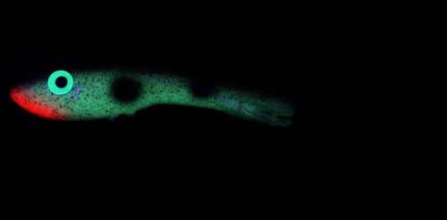 Moonshine Shiver Minnow #0 - 1/4 oz - Goby - Ice Fishing Lure | eBay