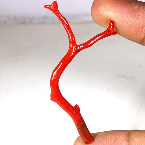 100% Natural Red Coral Fancy Cab Mind Blowing Loose Gemstone 54x32x05mm ...