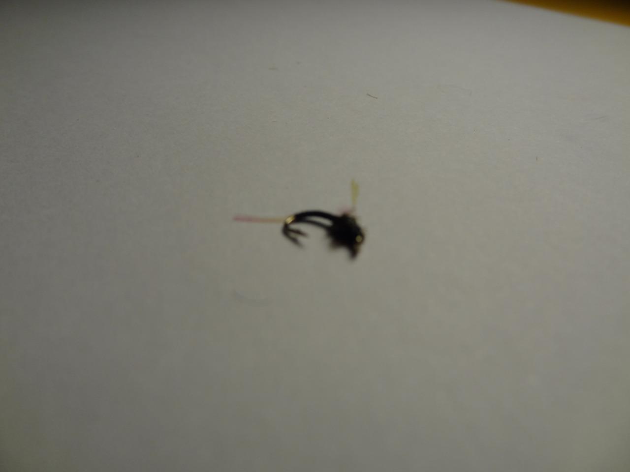 1 DOZ PW-2 WD-40 (SELECT YOUR SIZE & COLOR) Nymph | eBay