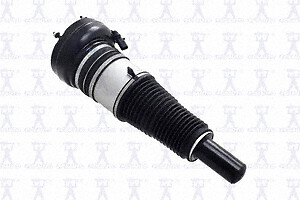 Suspension Air Strut FCS Automotive 99010 | eBay