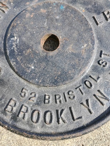 Dan Lurie Standard Weight Plate 25lb Total Black | eBay