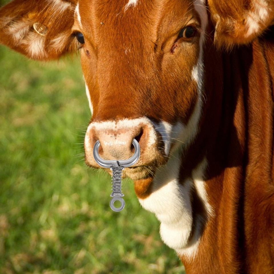 Cattle Nose Rings Clips Cow Nose Cattle Traction Accessory Ring Clamp ...