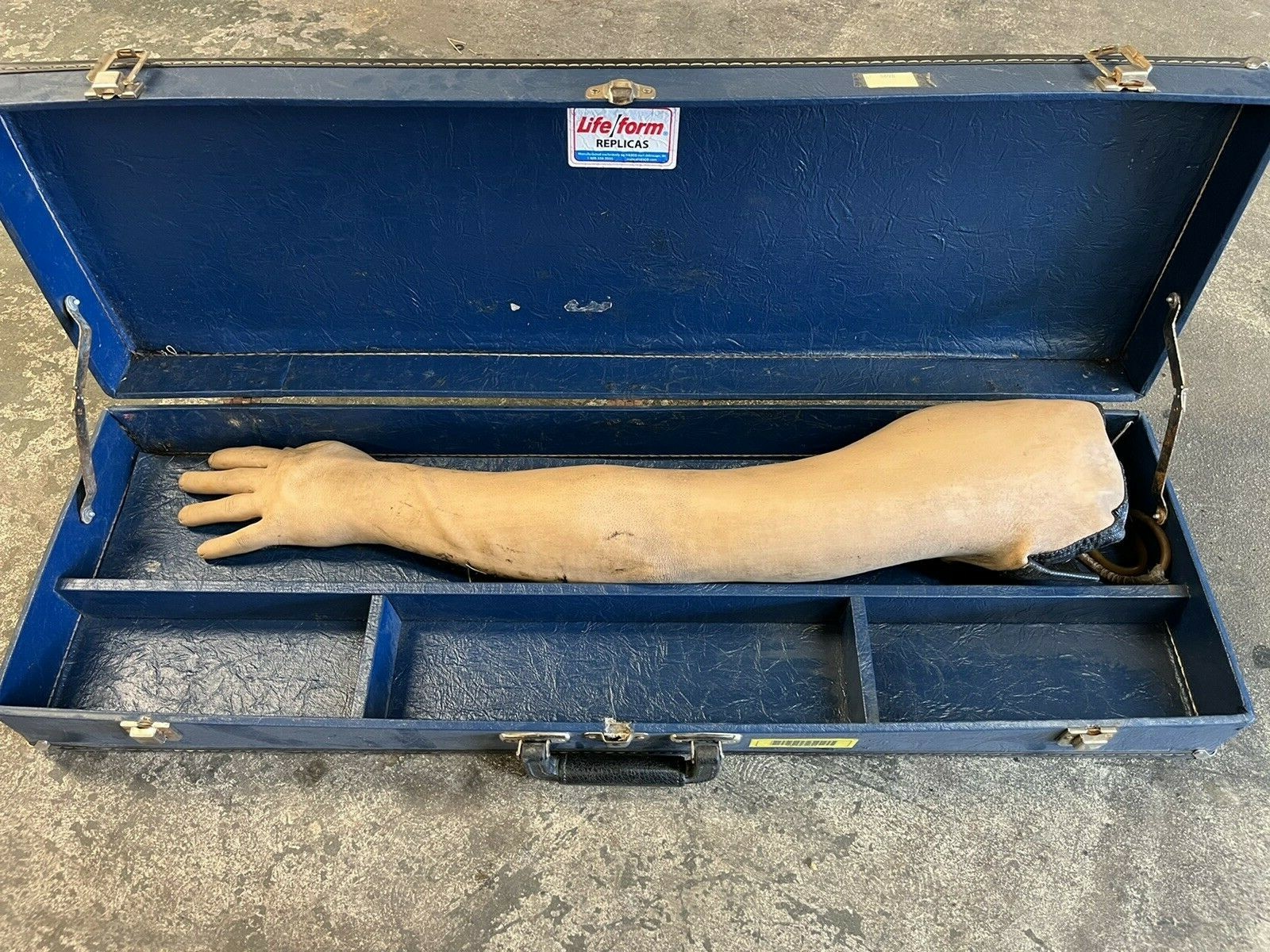 Nasco Life/Form Phlebotomy IV Injectable Training Arm With Case | eBay
