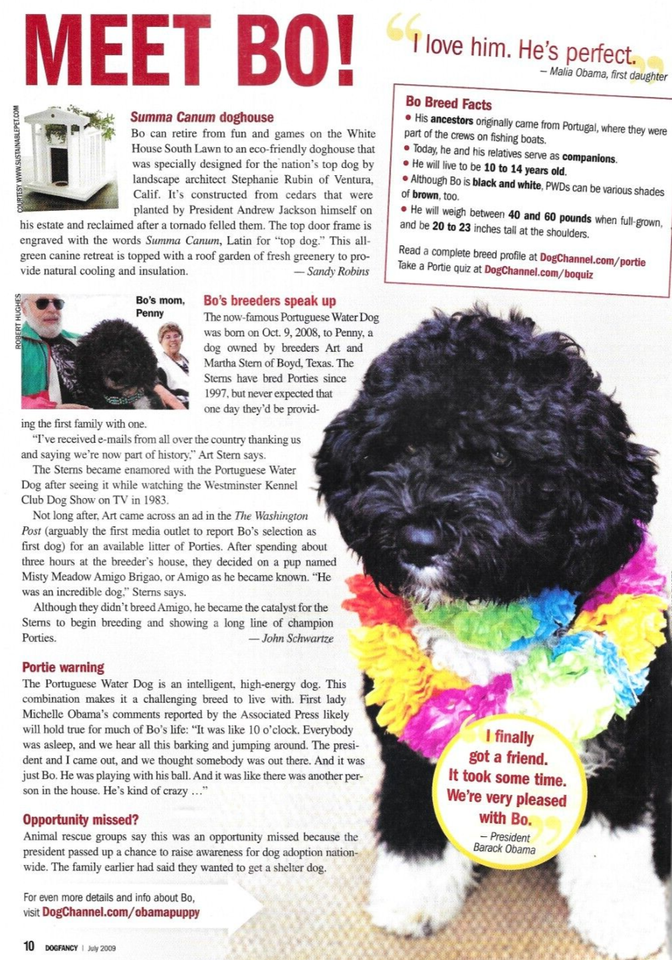 Dog Fancy Magazine Bo Puppy Training Summer Fun Ideas Home Repair ...