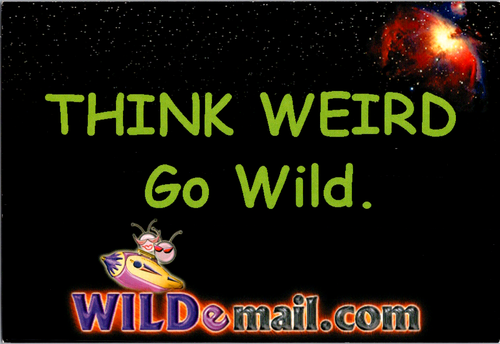 Vintage Postcard Think Weird Go Wild Design Wild Email Advertisement | eBay