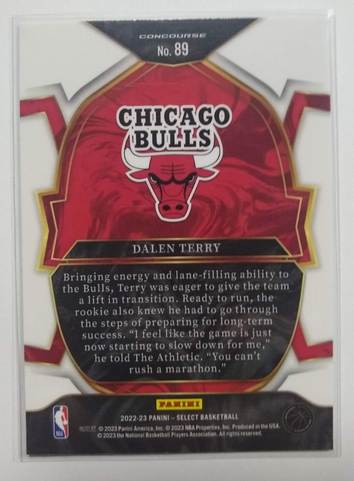 2022-23 Select Dalen Terry RC #89 Bulls | eBay