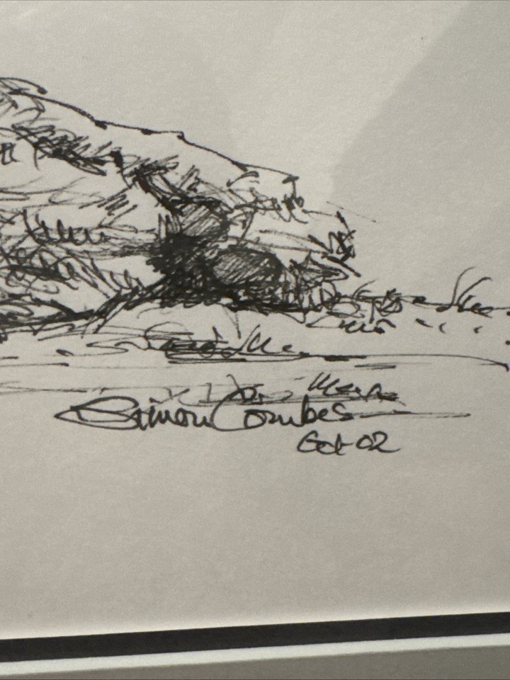 Lion Sketch by Simon Combes in October of 2002, an original sketch. | eBay