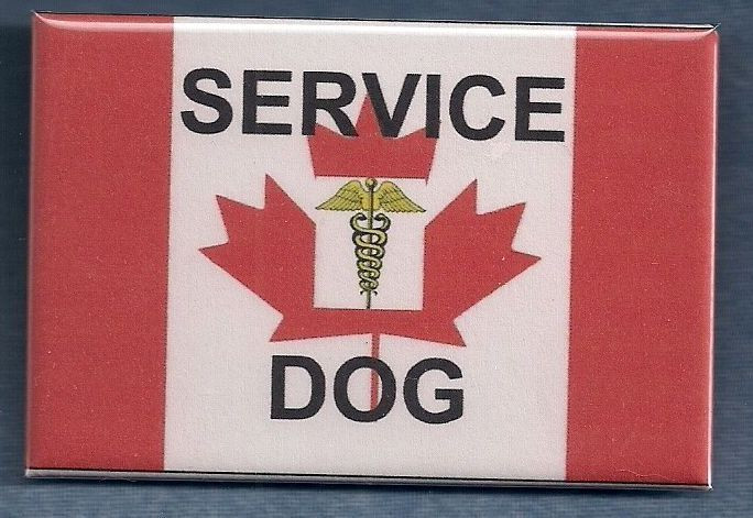 SERVICE DOG (Canada) - service dog vest button w/pin back | eBay
