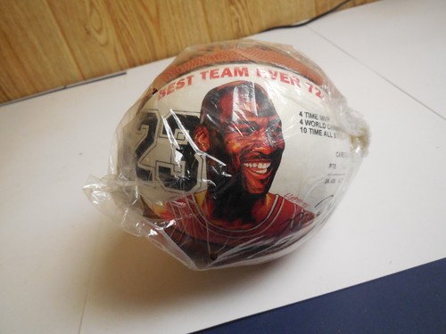 W1 Michael Jordan Wilson Career Statistic Stats Mini Basketball 23 ...