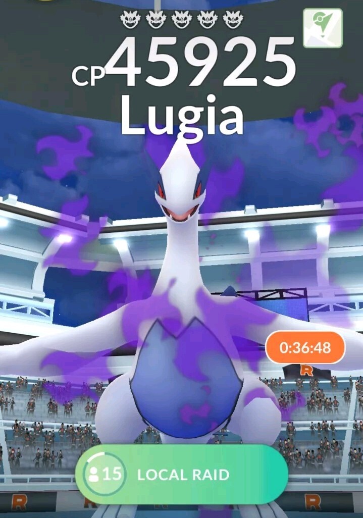5x Lugia Shadow Raids!! Pokémon Go Local Raids