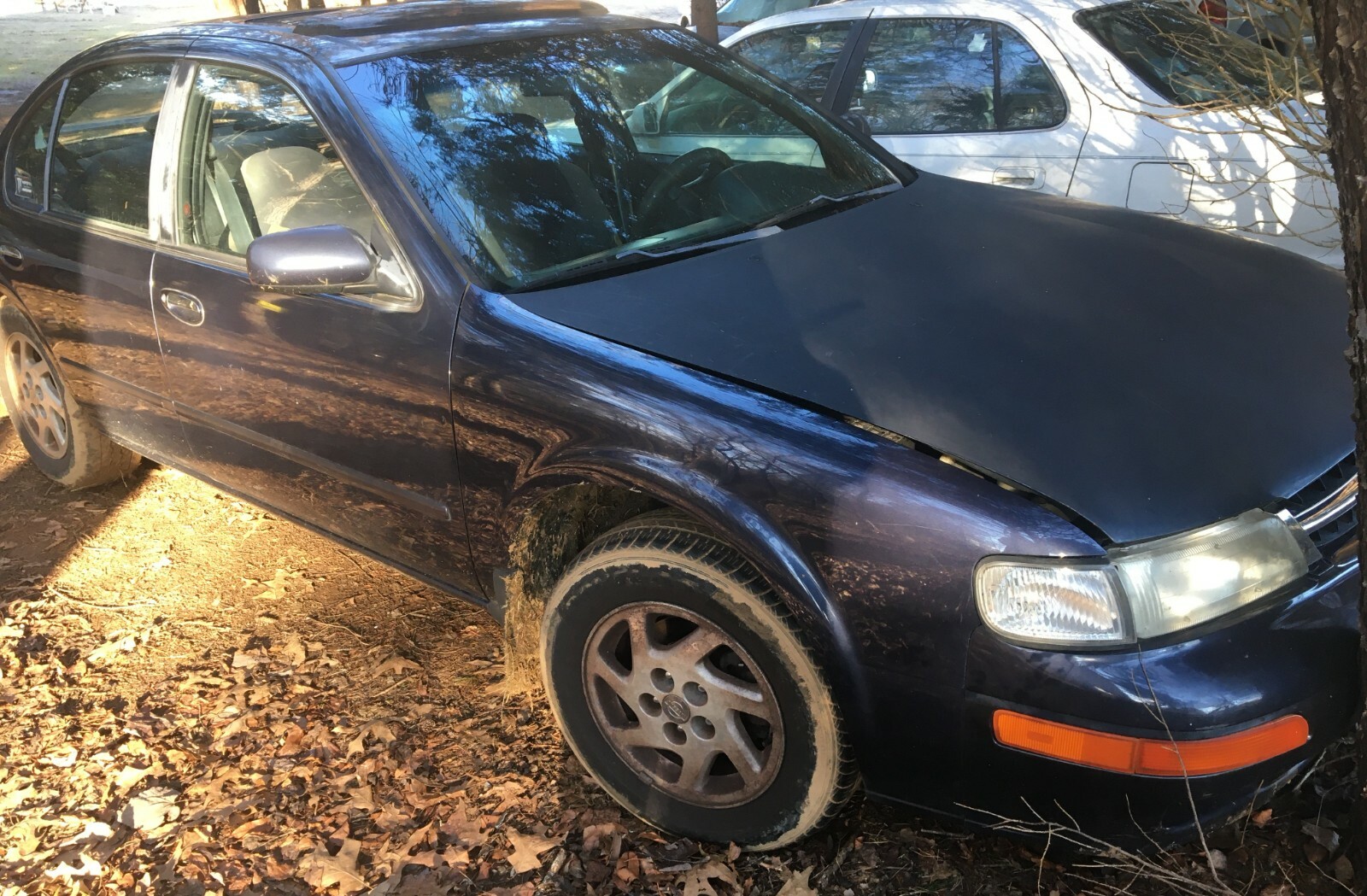 97 98 99 1998 NISSAN MAXIMA INFINITY I30 SUNROOF MOTOR 91295 3L010 | eBay