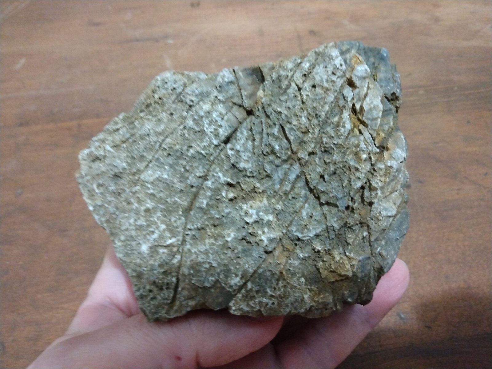 Incised Stone Rock Flint Chert Arkansas Found Paleo Native American ...